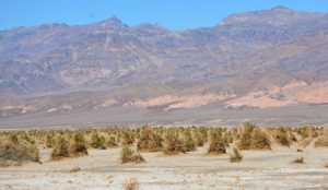 Visiting Death Valley in a Day - Wander Woman Travel Magazine