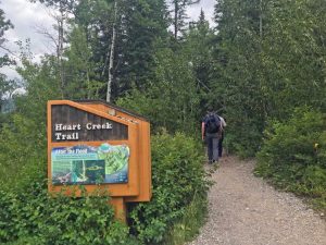 Heart Mountain Hike - Big Adventure Near Canmore - Wander Woman Travel ...